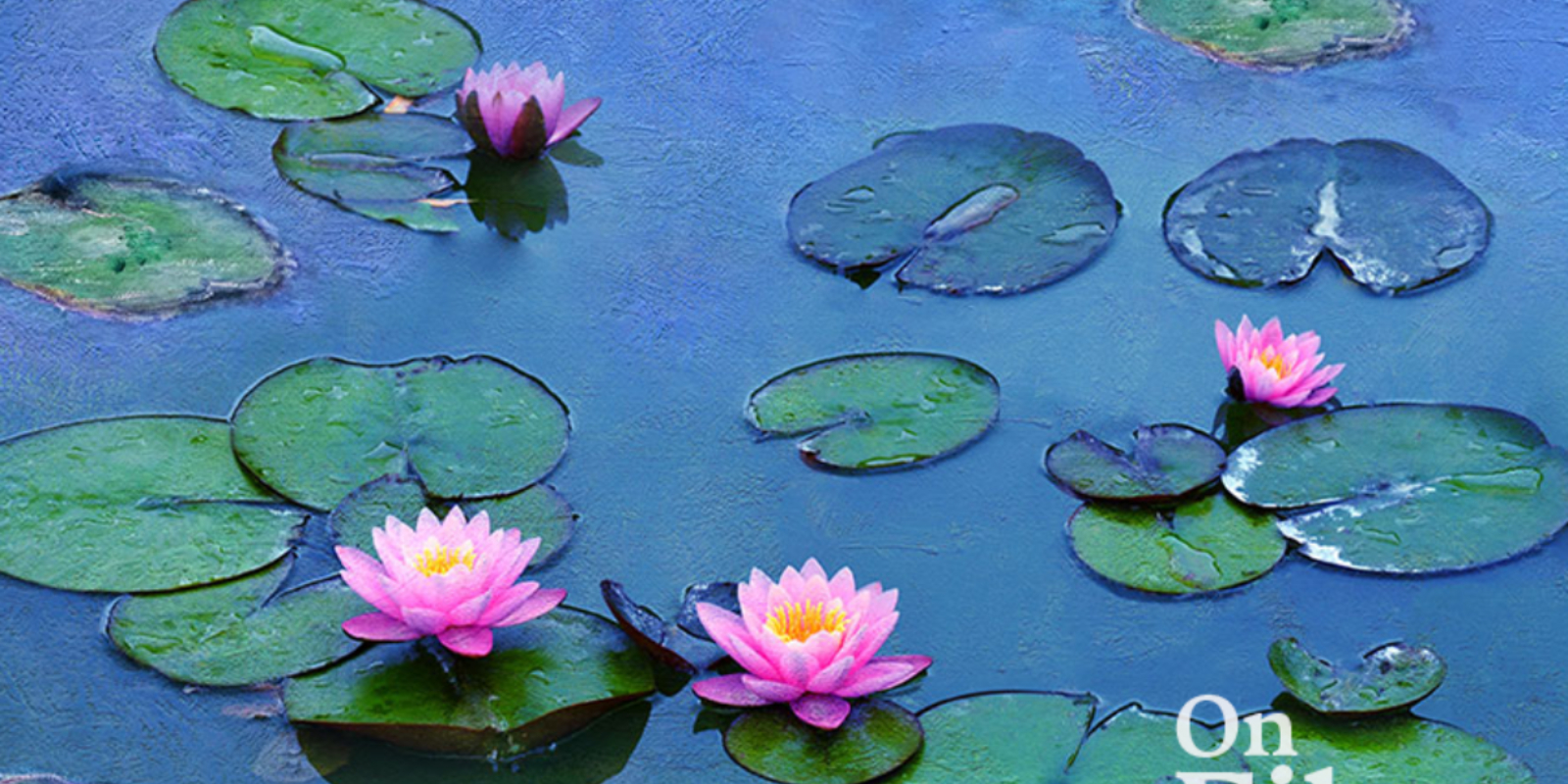 DelawareScene: Great Art On Screen - "Water Lilies by Monet: The Magic ...