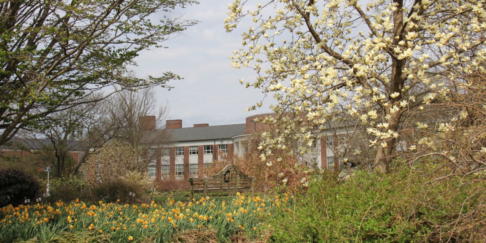 DelawareScene: University of Delaware Botanic Gardens, Newark, DE